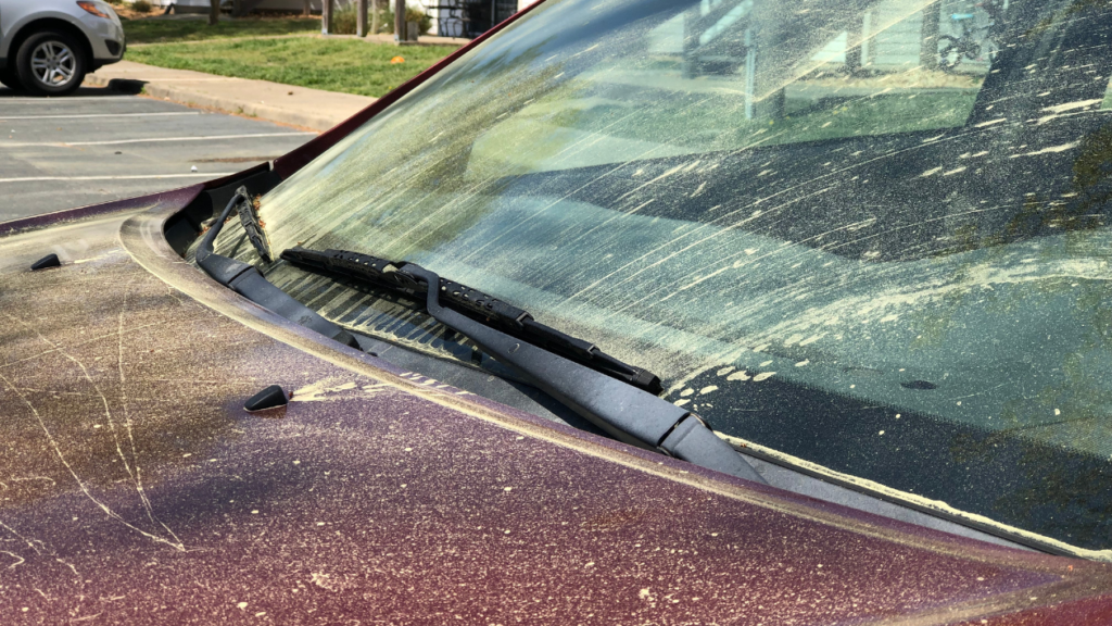How Does Pollen Affect Your Car? - Collision Correction & Customs